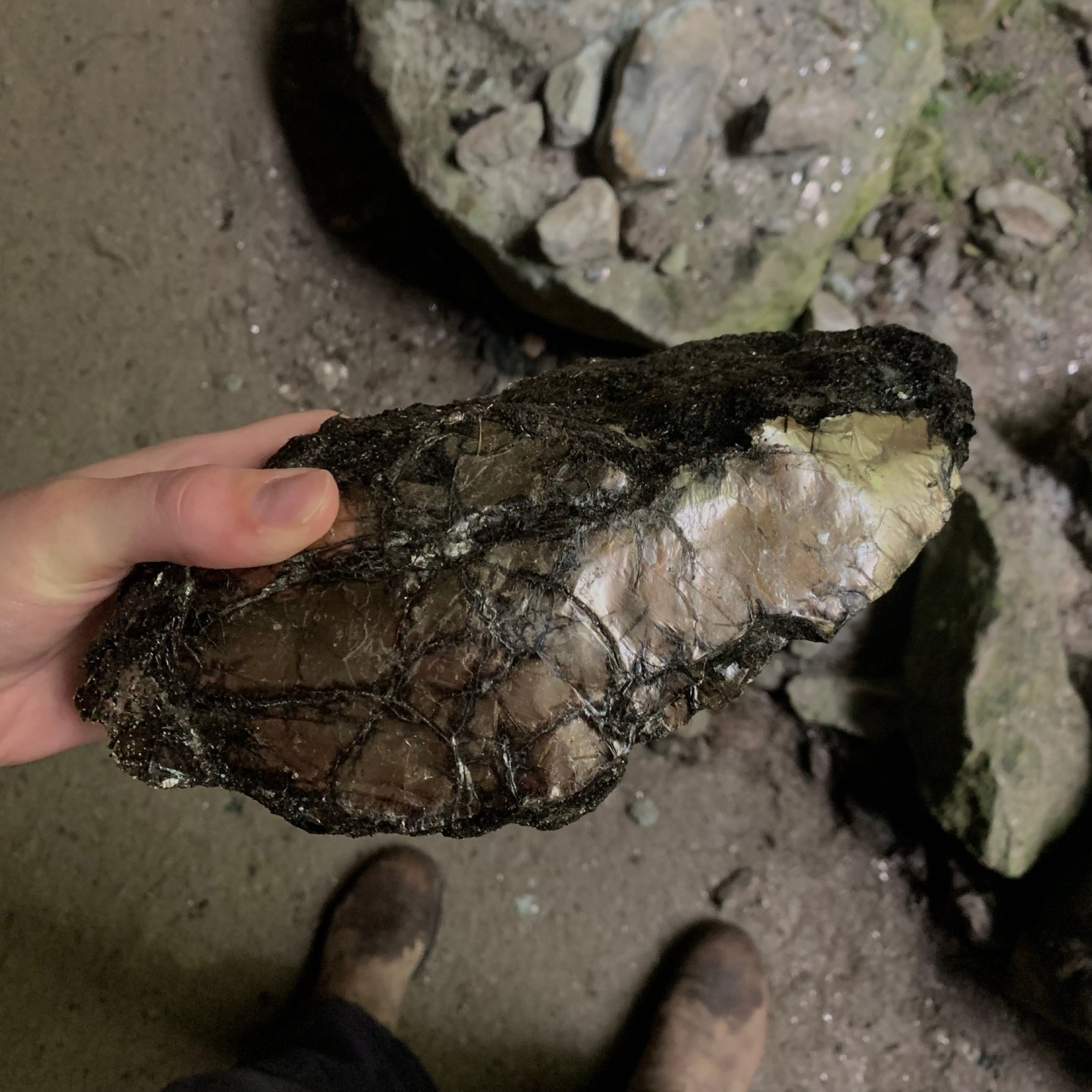 Minerals of the Silver Queen Mine: Mica | Friends of Murphys Point Park